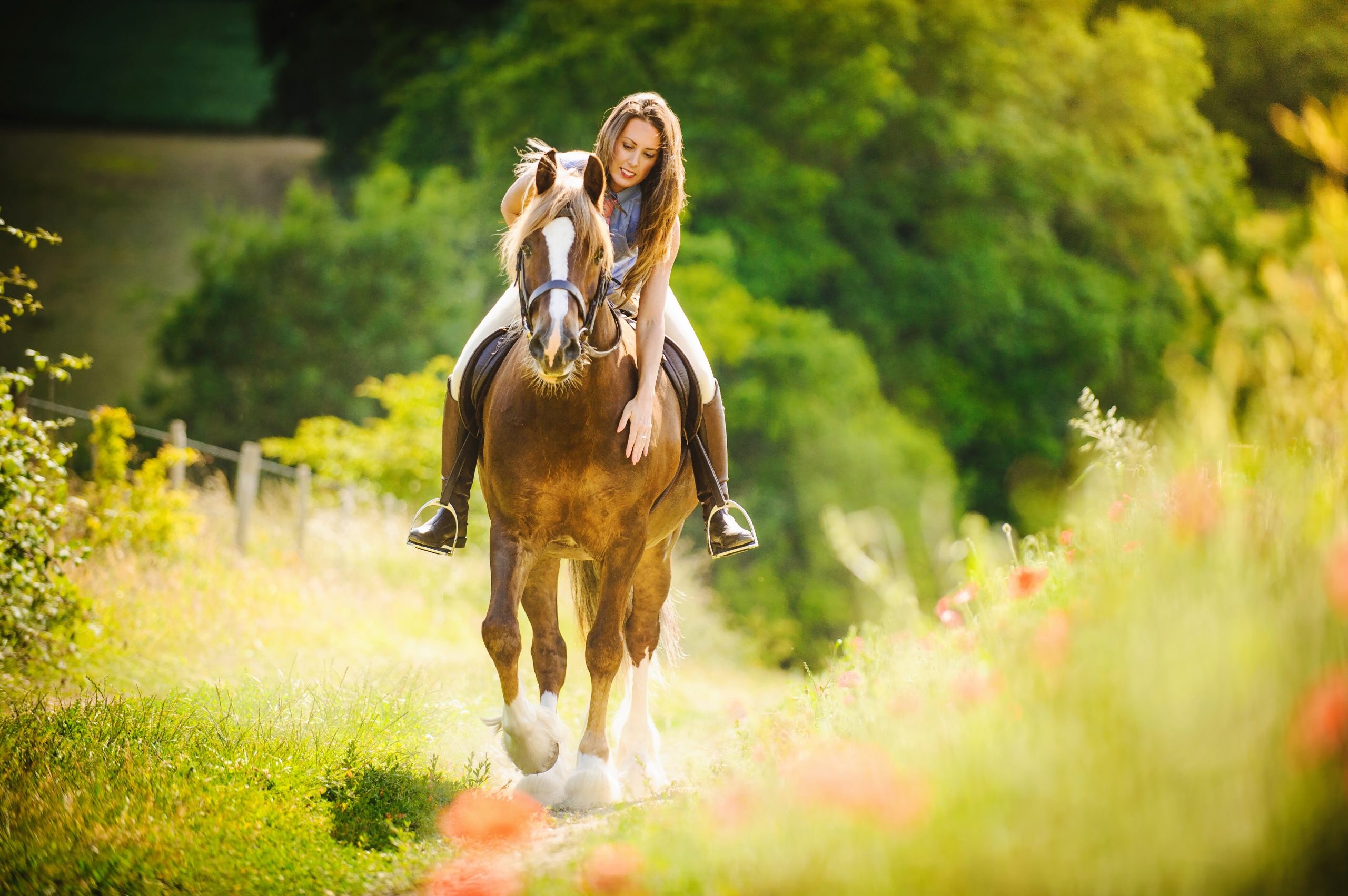 Helen Rigby Photography – Country business photography, wedding ...